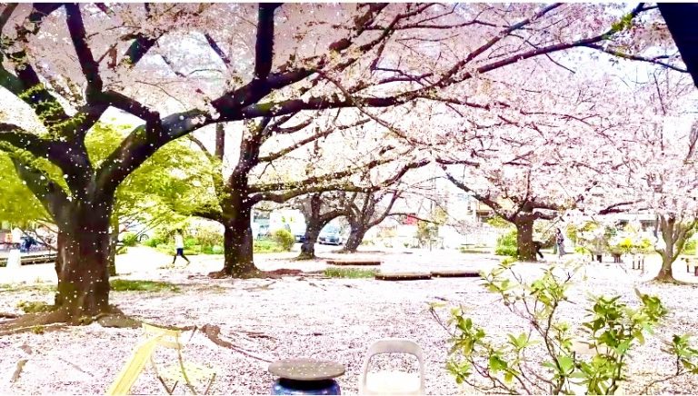 これを見て何を思いますか？-知られざるOKS_CAMPUS内のスポット- | Inside Our Brain.